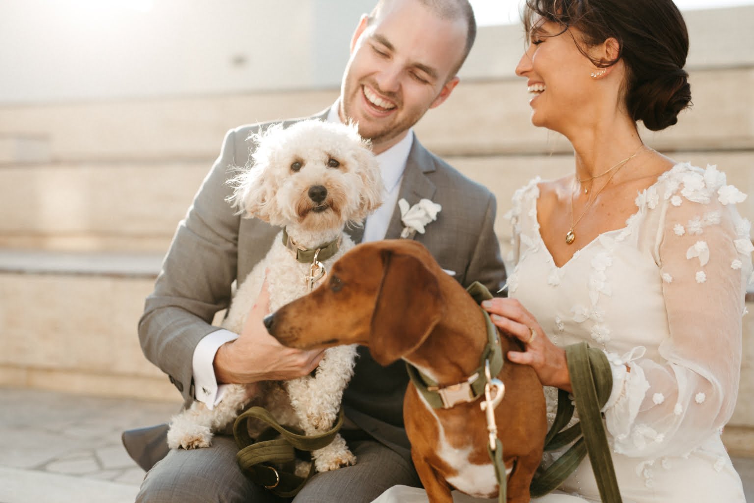 30 OF OUR FAVE PETS AT WEDDINGS – Hello May