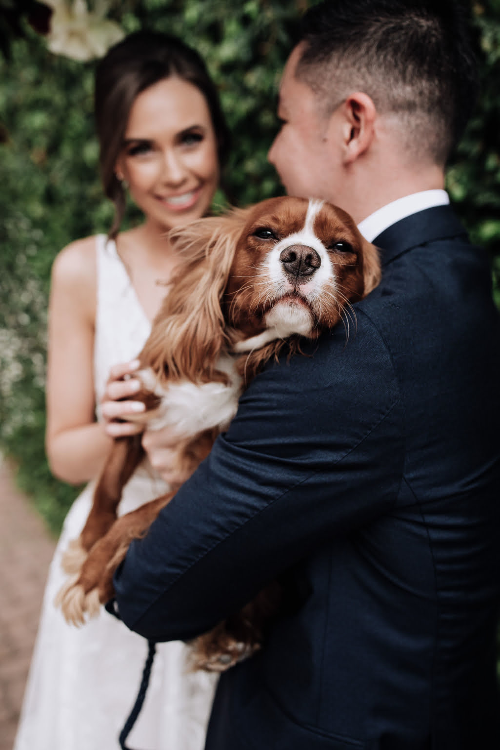PETS AT WEDDINGS – Hello May