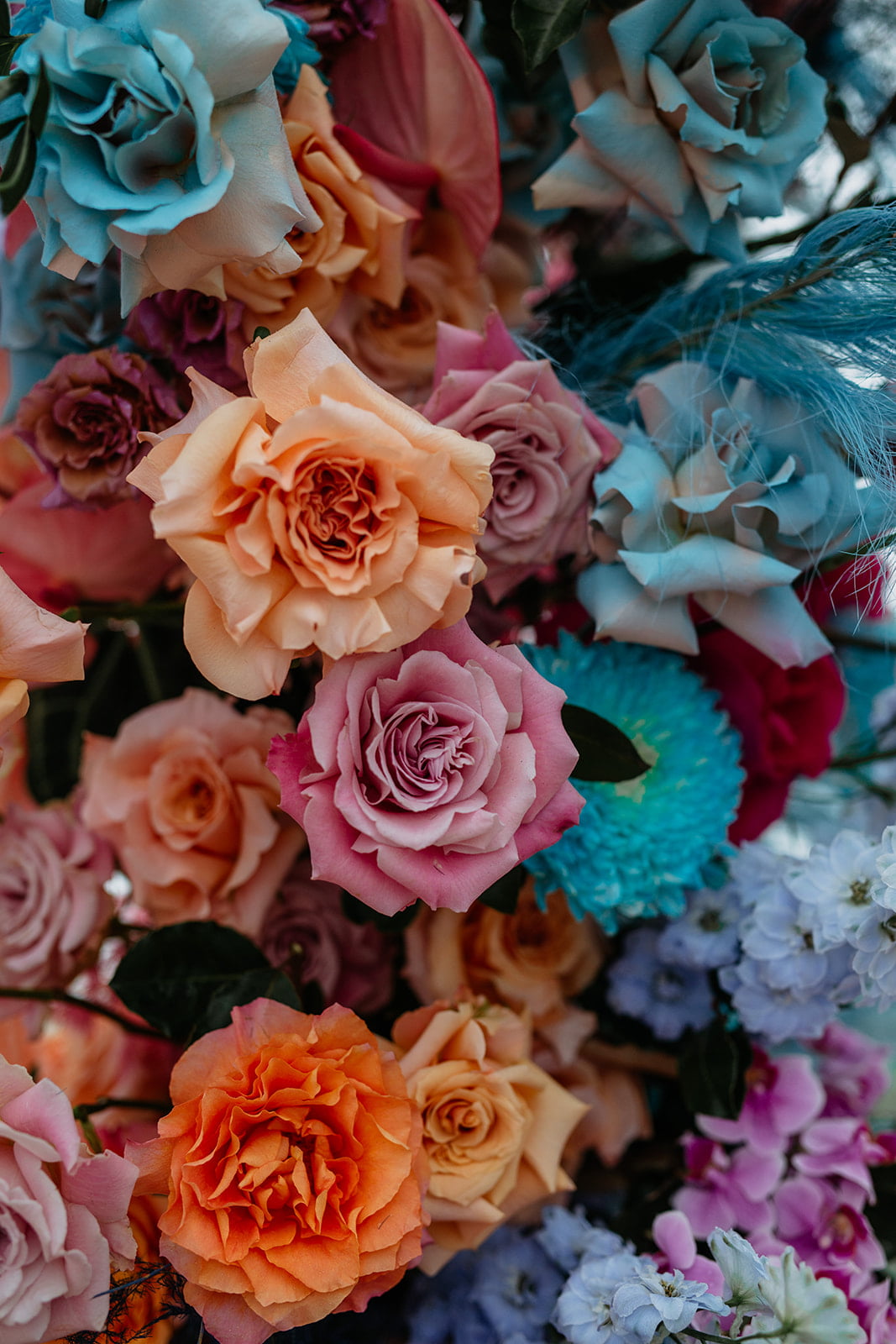 ALEX & KOBY’S QUEENSLAND WEDDING – Hello May