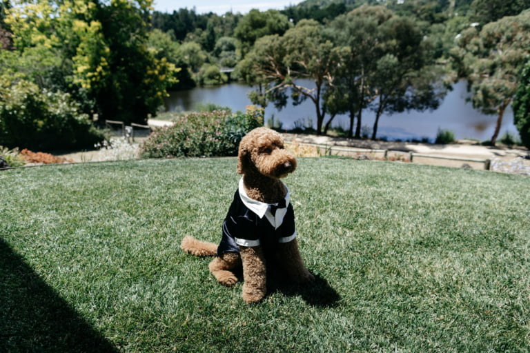 LAURA & AIDAN’S COUNTRY VICTORIAN WEDDING – Hello May