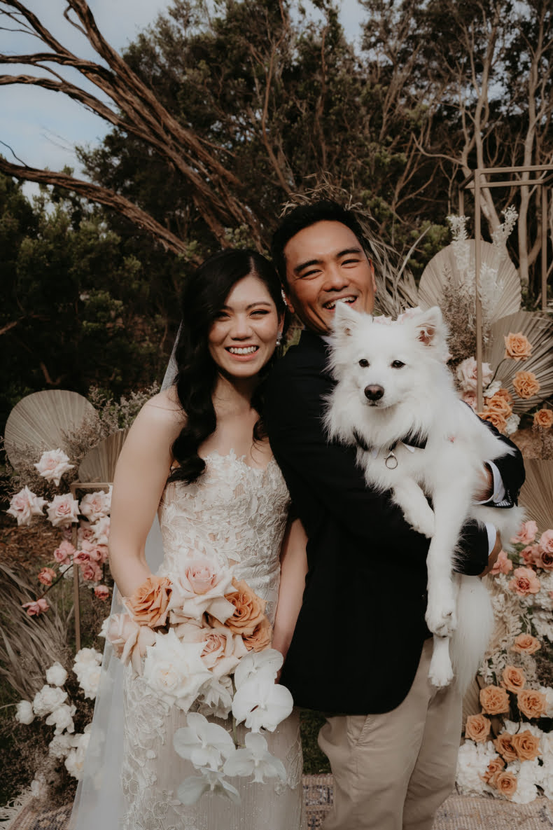 HECKIN' CUTE PETS AT WEDDINGS - Hello May