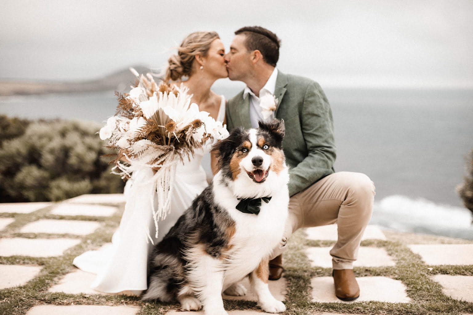 THE CUTEST PETS AT WEDDINGS YOU EVER DID SEE – Hello May