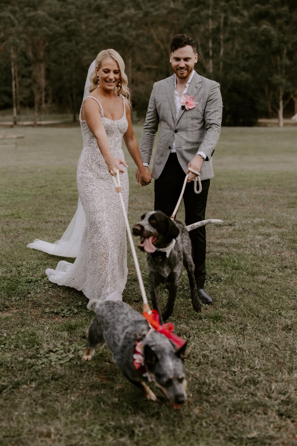 THE CUTEST PETS AT WEDDINGS YOU EVER DID SEE – Hello May