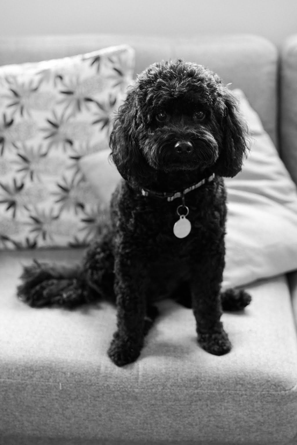 RENEE & ADAM’S PERTH WEDDING – Hello May