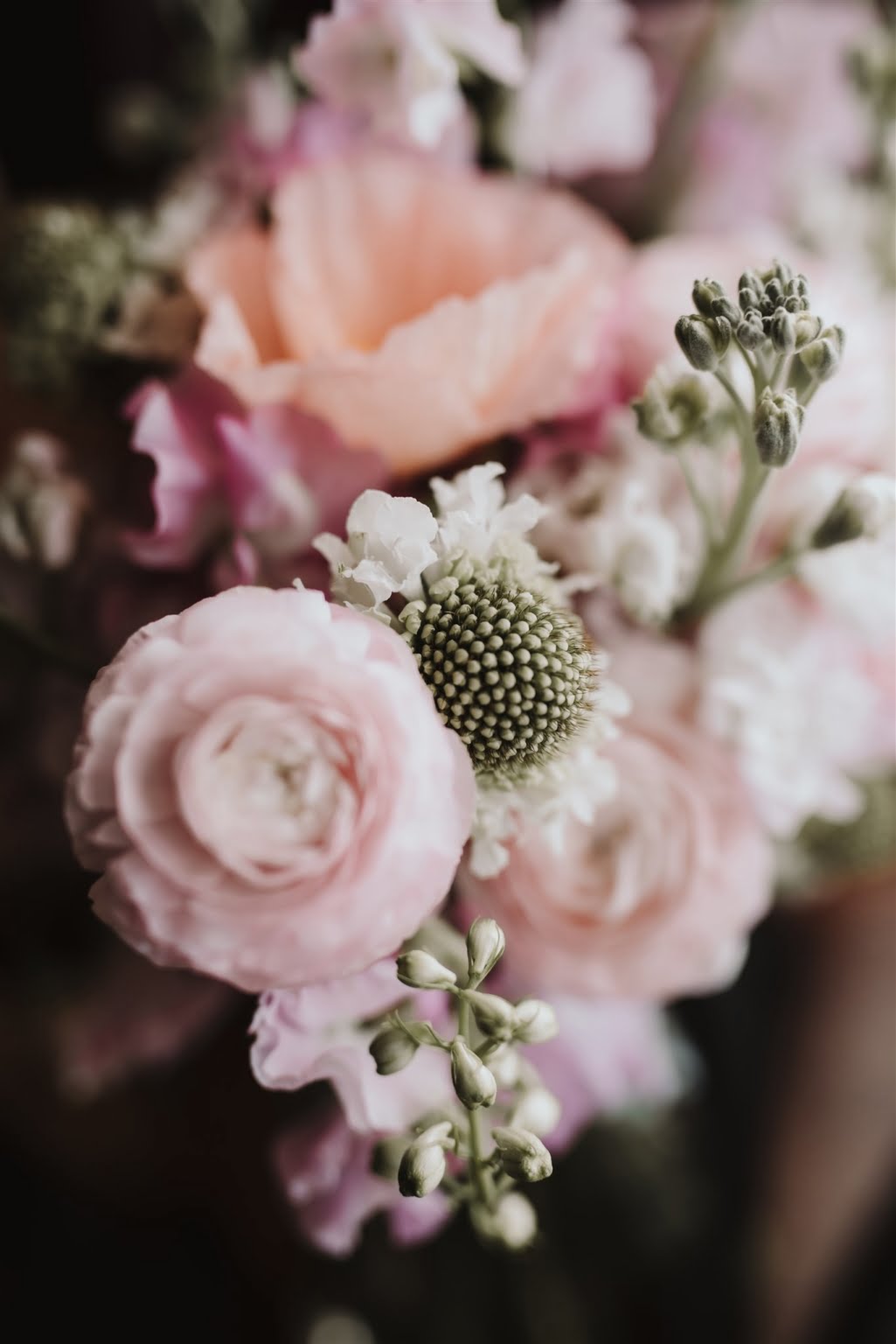 KADDY & DAVID’S TASMANIAN WEDDING – Hello May