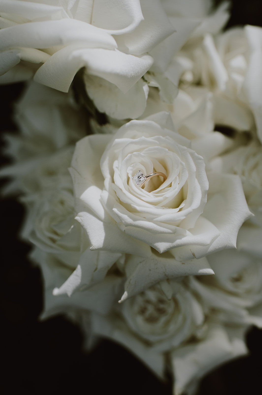 TAYLAH & STU’S TAMWORTH WEDDING – Hello May