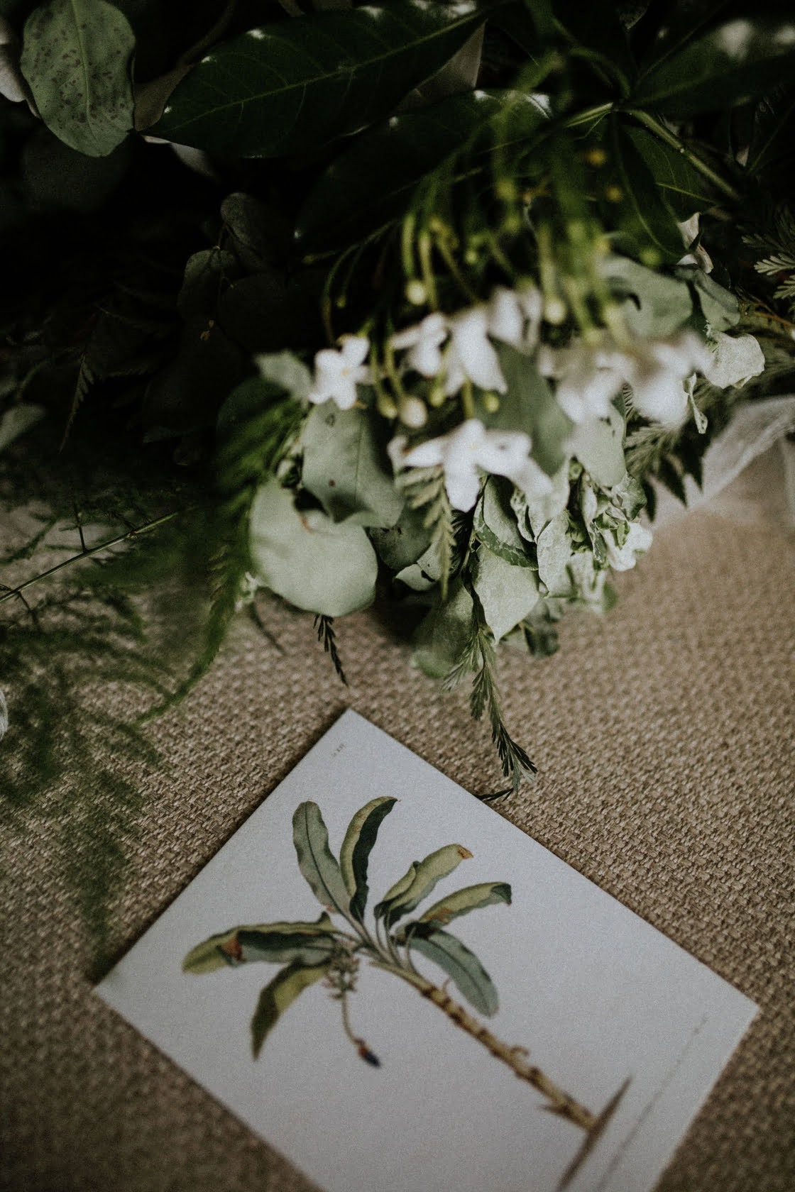 Bronte & Adrian's Fijian Wedding - Hello May