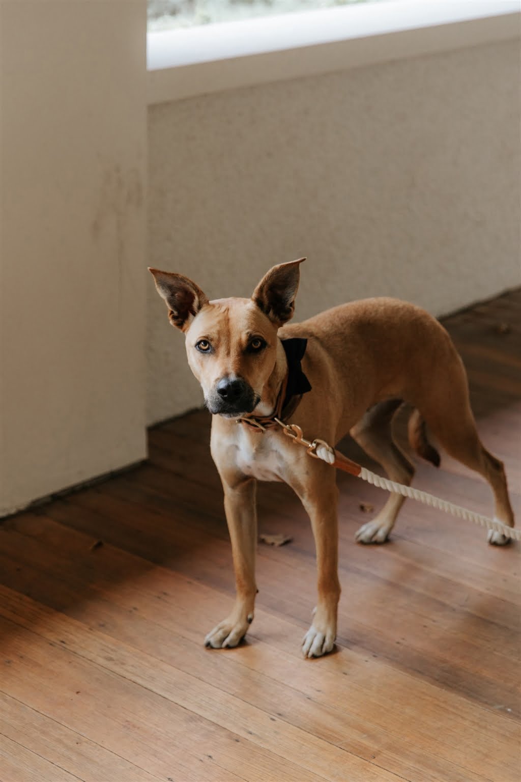 JESS & LUKE’S GIPPSLAND WEDDING – Hello May