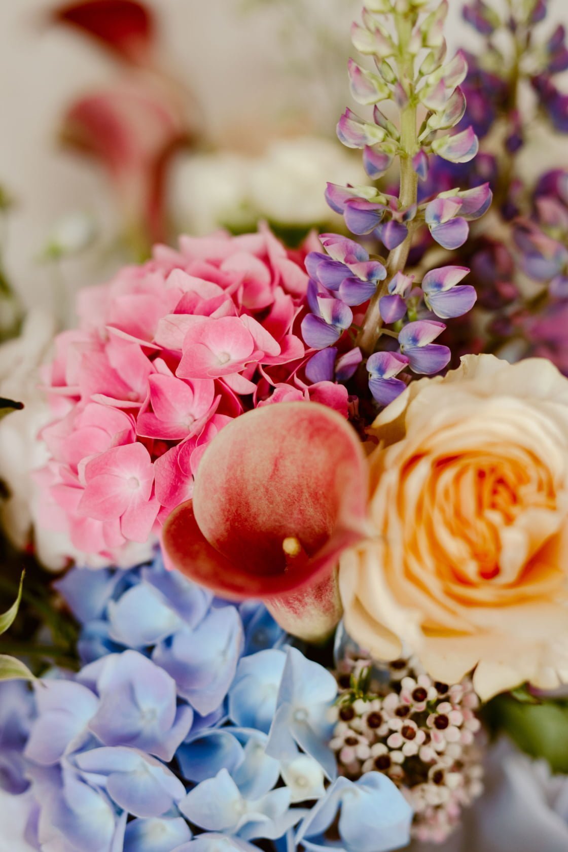 PHOEBE & SEAMUS’ MELBOURNE WEDDING – Hello May