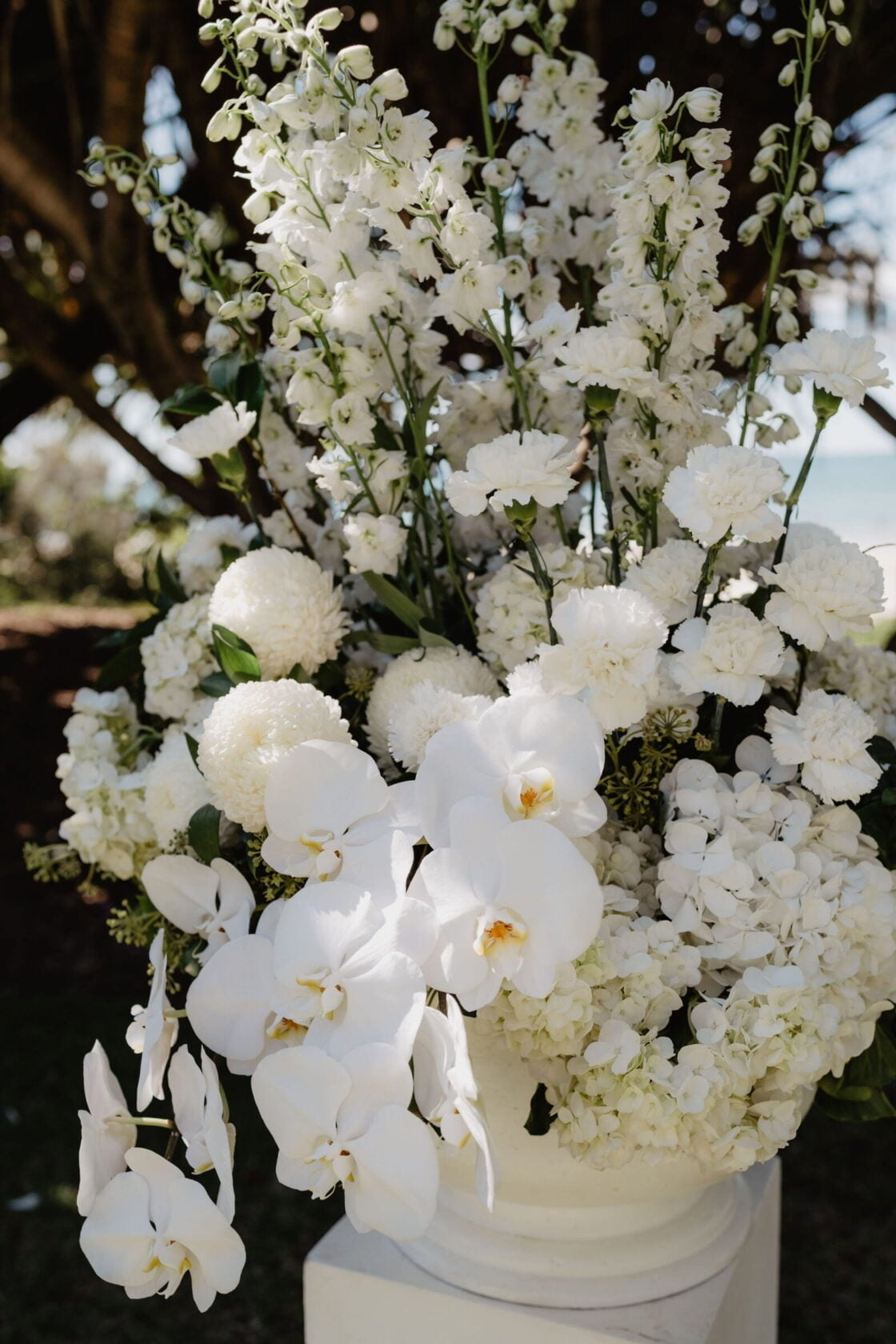 CHARLOTTE & LUKE’S NOOSA WEDDING – Hello May