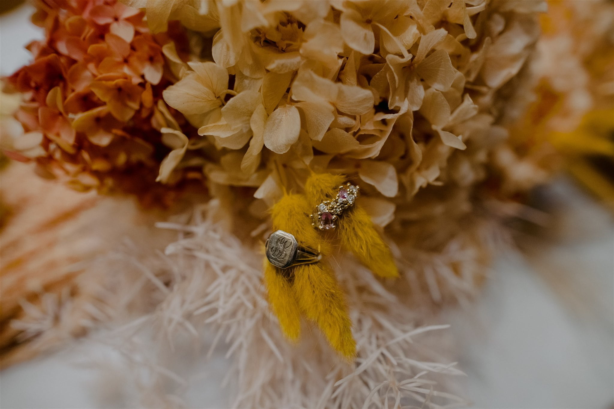 EM & JOSH'S PERTH ELOPEMENT - Hello May