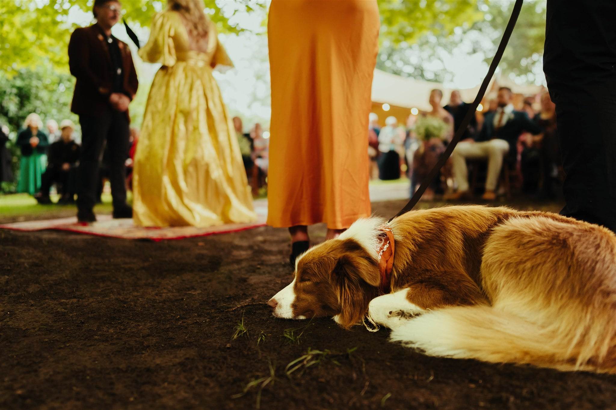 LIV & JAKE’S VICTORIAN WEDDING – Hello May