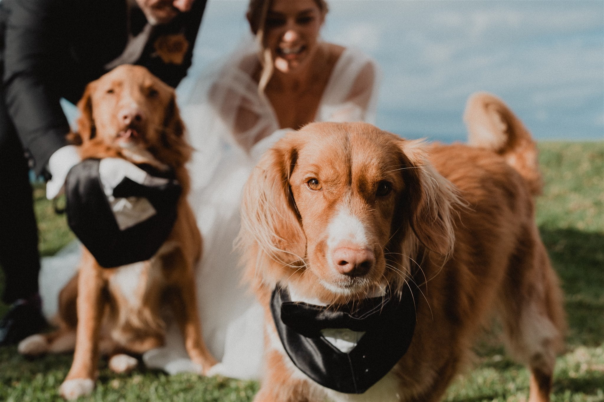 MARGOT & NICK’S KANGAROO ISLAND WEDDING – Hello May