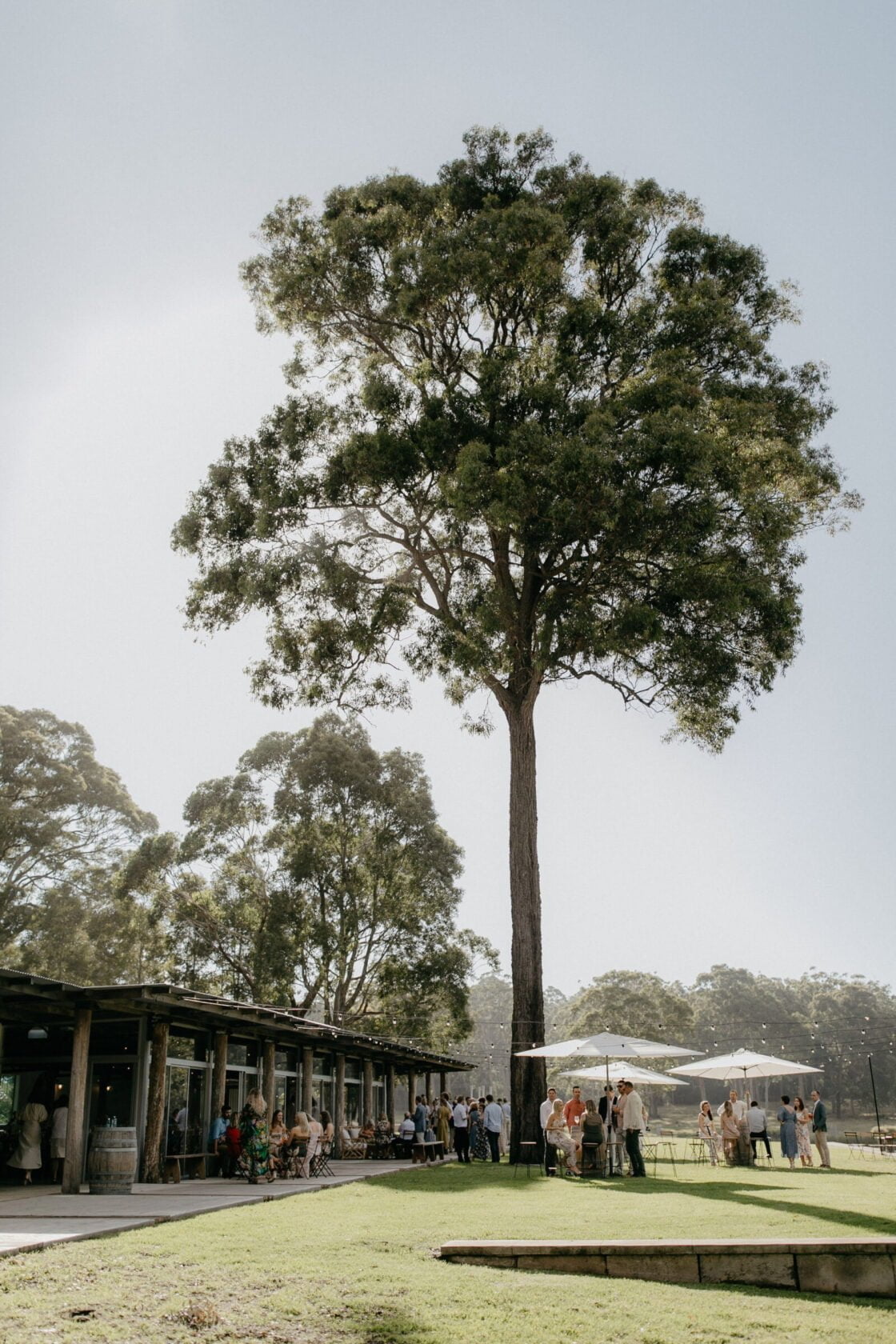 TOP 12 COASTAL WEDDING VENUES – Hello May