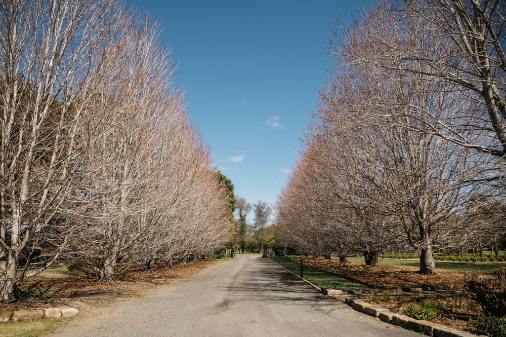 EMILIE & RUBY’S SOUTH COAST WEDDING – Hello May