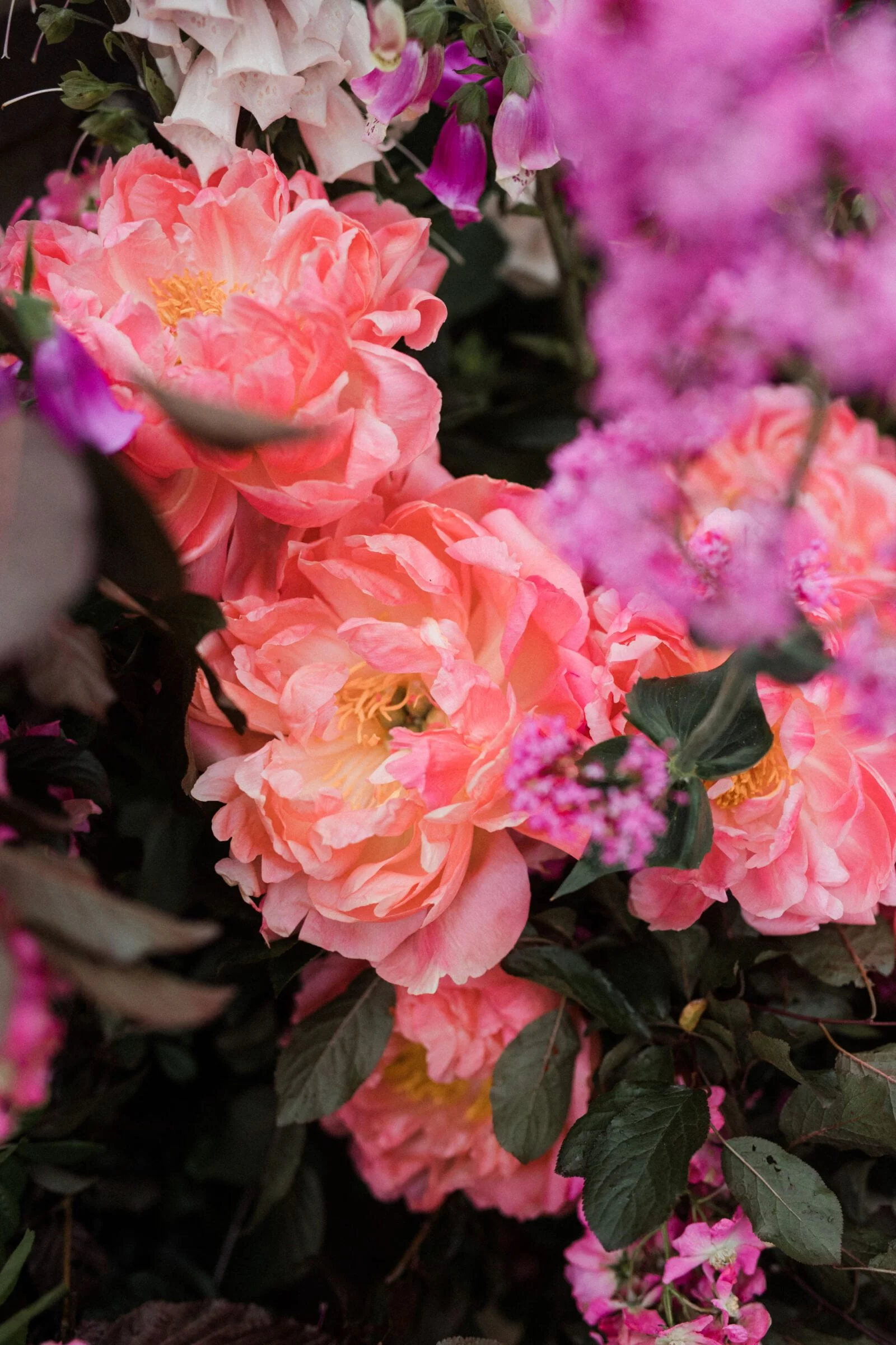 TILLY & JOE’S TASMANIAN WEDDING – Hello May