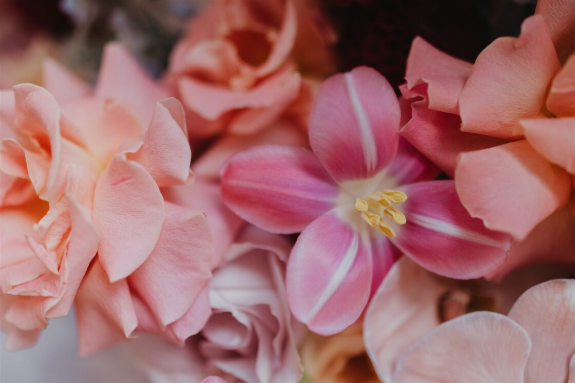 ALEX & JAMES’ BRISBANE WEDDING – Hello May