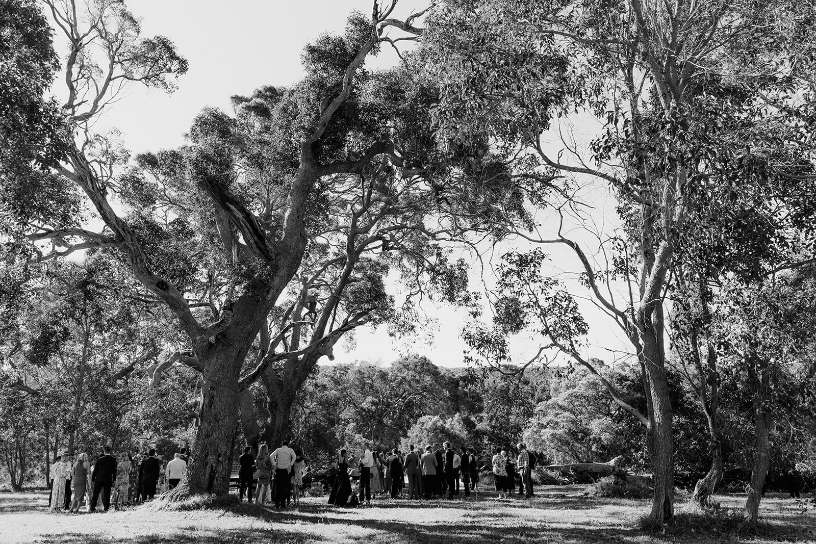 GENEVIEVE & KYLE'S PERTH WEDDING - Hello May